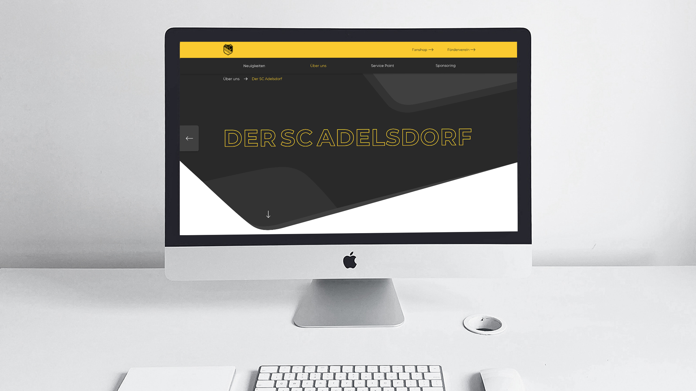 Redesign SCA website | RWU Hochschule Ravensburg-Weingarten University ...